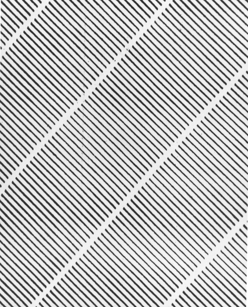 Security Envelopes | Cindy Bernard