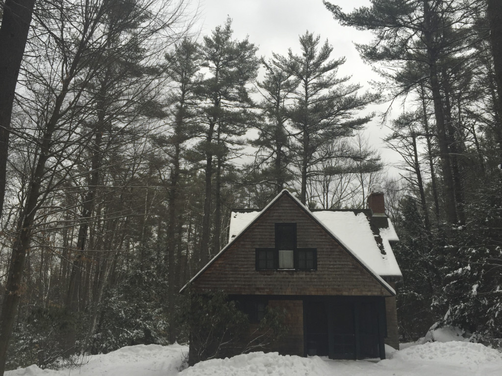MacDowell, Weeks 1 and 2 | Cindy Bernard