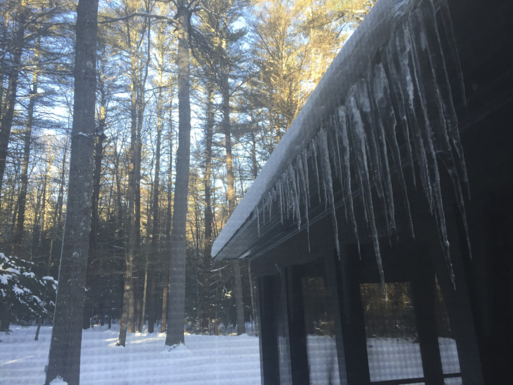 MacDowell, Weeks 1 and 2 | Cindy Bernard